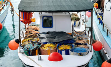 Marine & Offshore - Wastedisposer